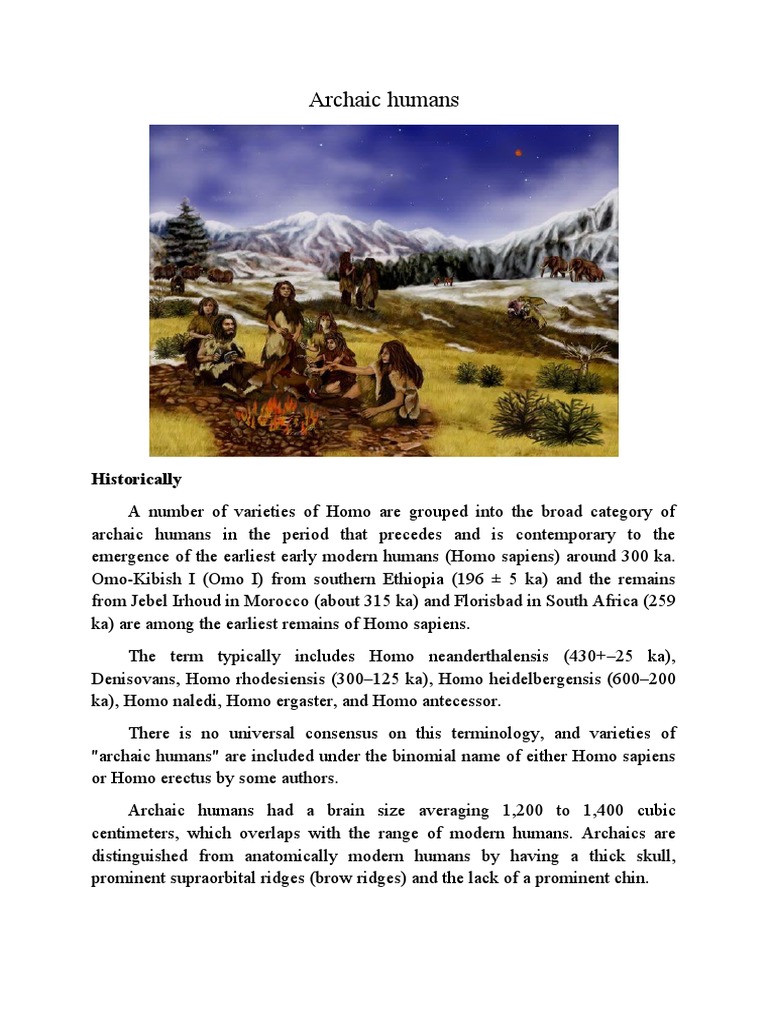 Archaic Humans: Historically | PDF | Homo | Human Evolution