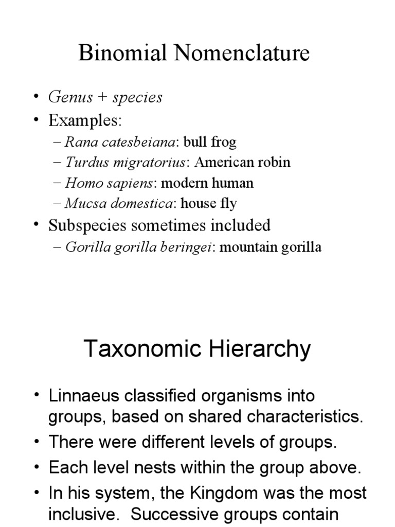 Binomial Nomenclature: - Genus + Species - Examples | PDF | Taxonomy ...