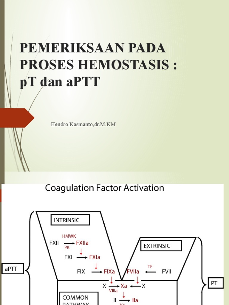 Pemeriksaan Pada Proses Hemostasis Pt Aptt Pdf