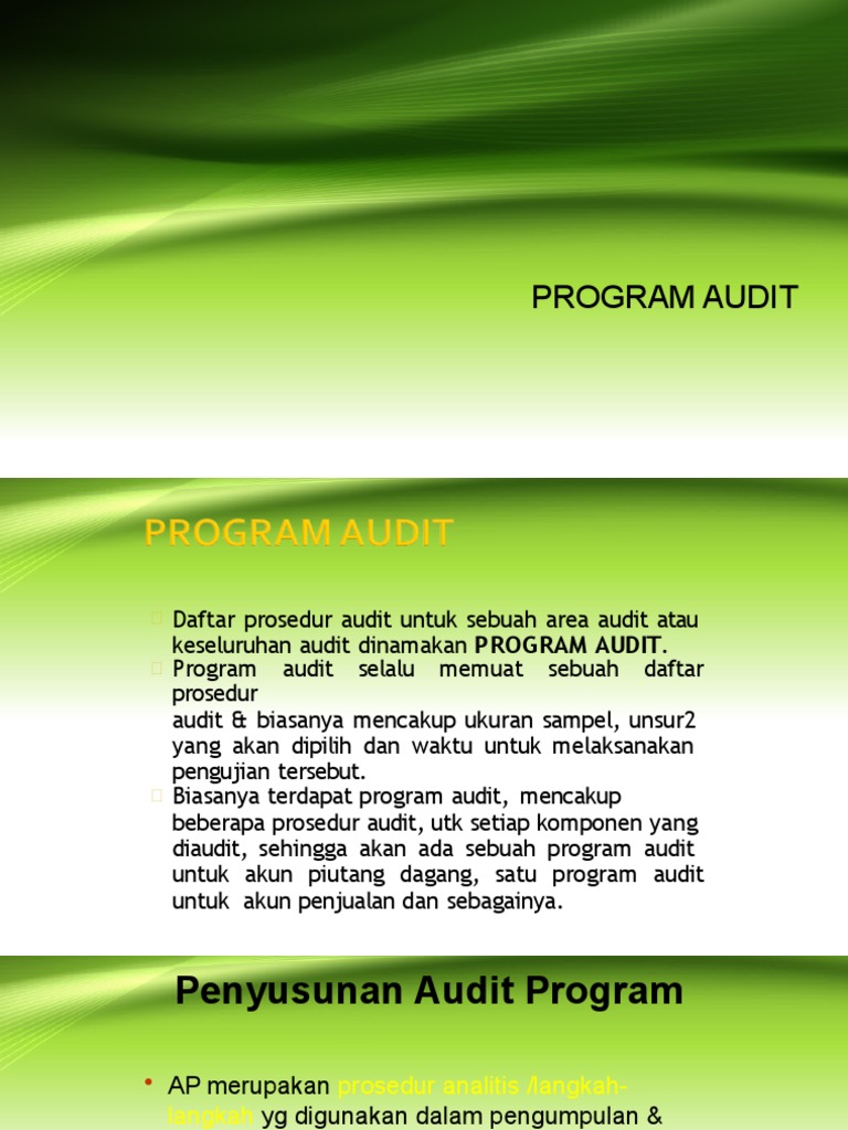 Program Audit | PDF | Bisnis