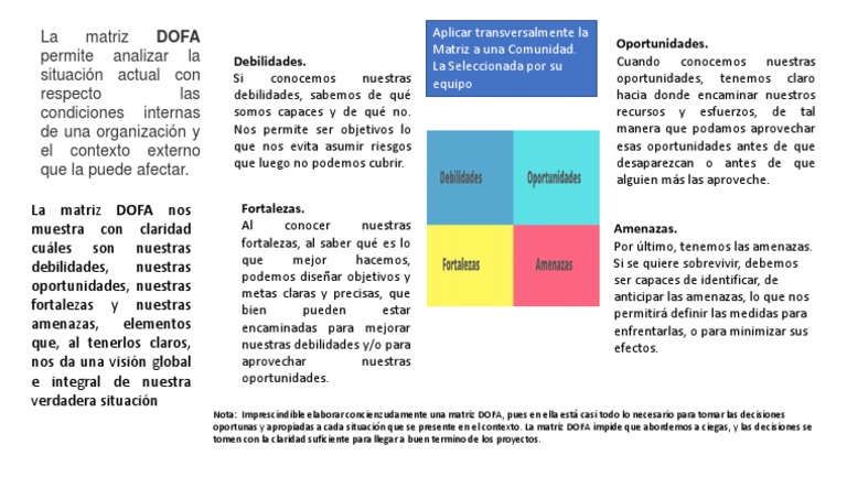 Matrix Dofa MSC | PDF | Análisis FODA | Business