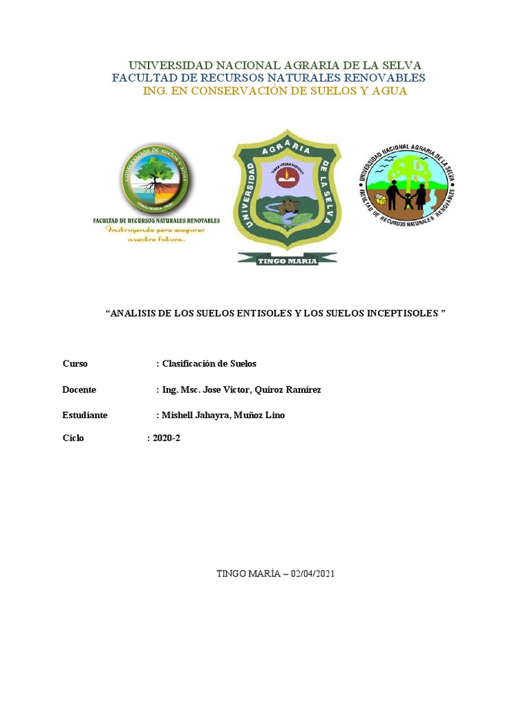Análisis de Suelos Entisoles e Inceptisoles | PDF | Suelo | Entorno natural