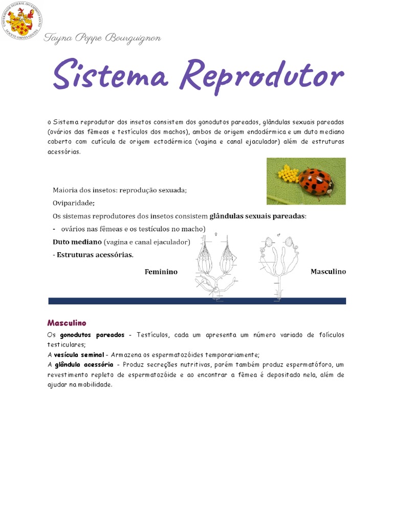 Sistemas reprodutores de insetos | PDF | Reprodução | Ovo