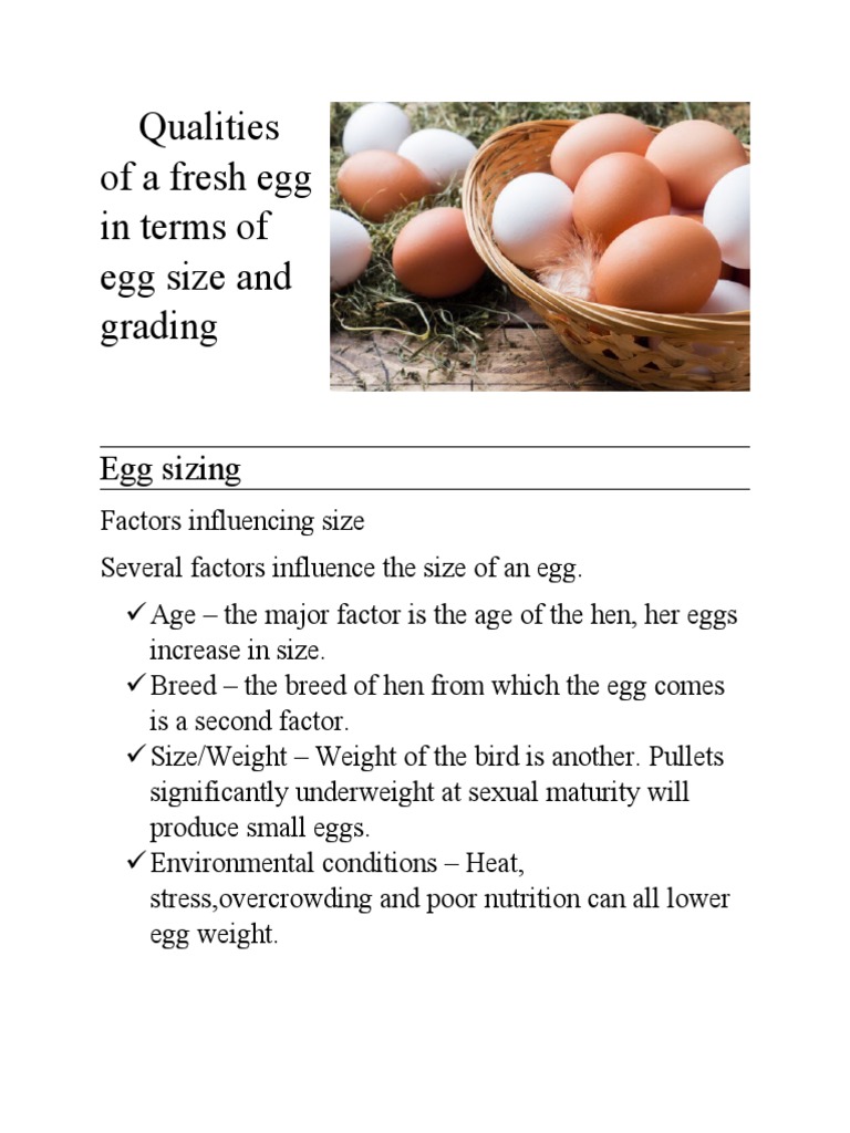 FivC87mm5d - Qualities of A Fresh Egg in Terms of Egg Size and Grading ...