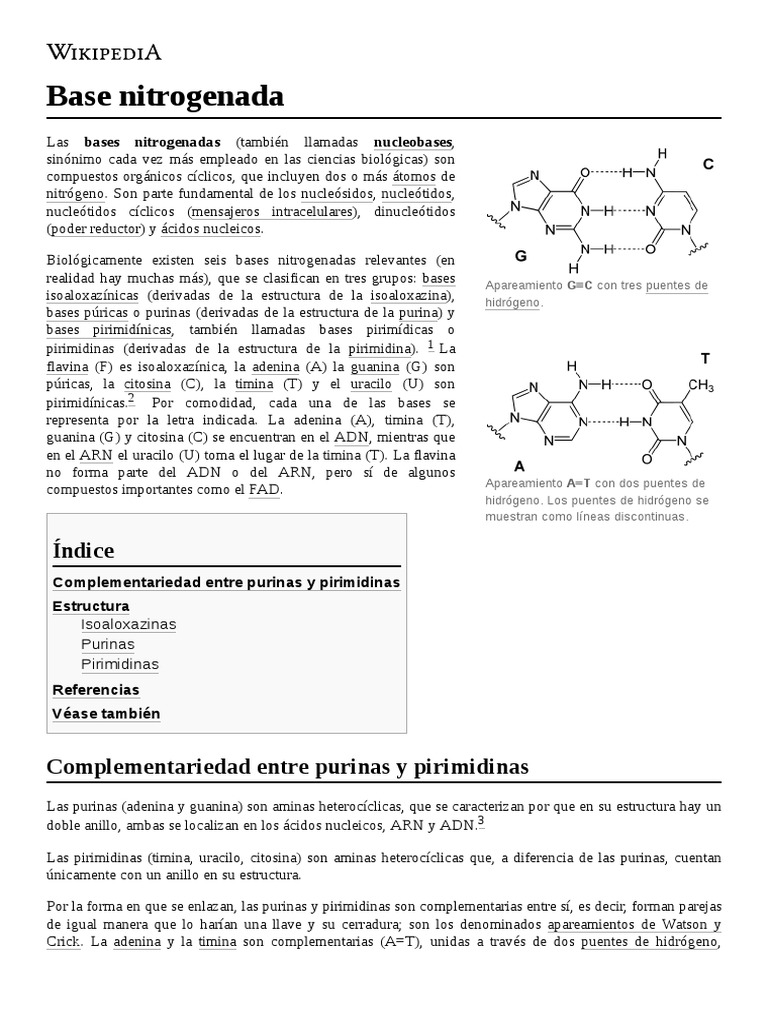 Base Nitrogenada | PDF | Bioquímica | Química