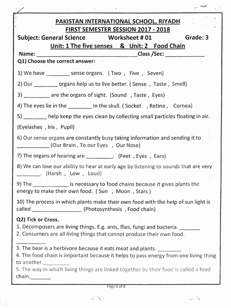 Subject: General Science Worksheet Grade: Unit: 1 The Five Senses ...