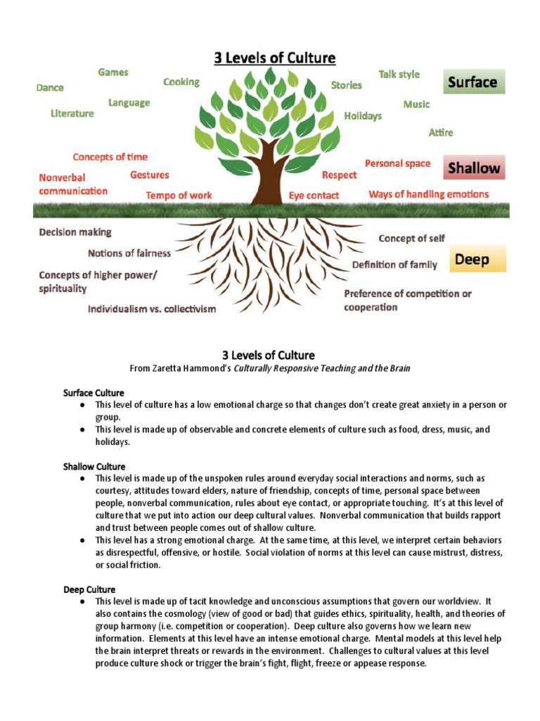 Understanding the Layers of Culture: Surface, Shallow, and Deep | PDF