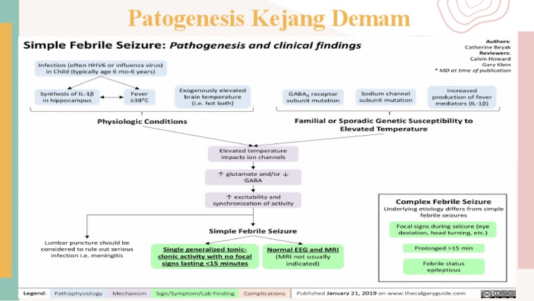Patogenesis Kejang Demam | PDF