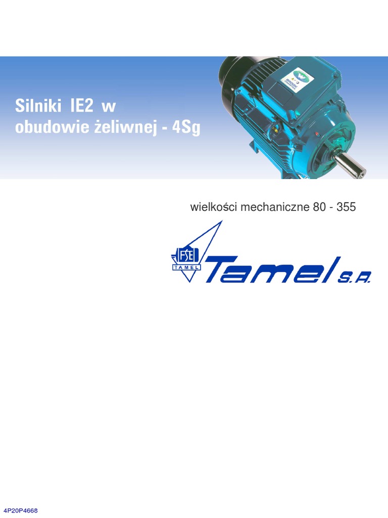 4Sg IE2 | PDF