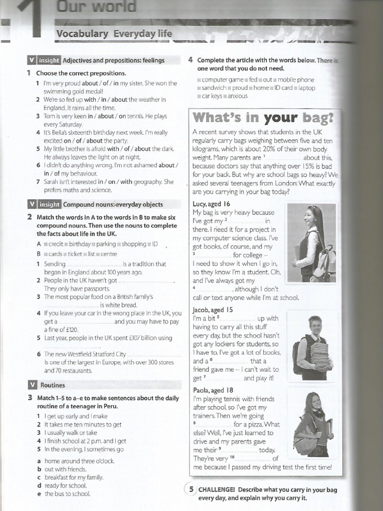 Insight Pre Intermediate Workbook | PDF