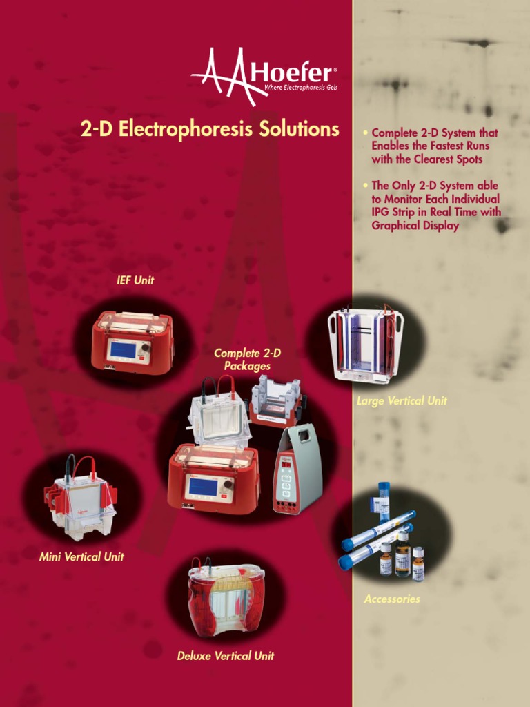 2-D Electrophoresis Solutions | PDF | Gel Electrophoresis | Agarose Gel ...
