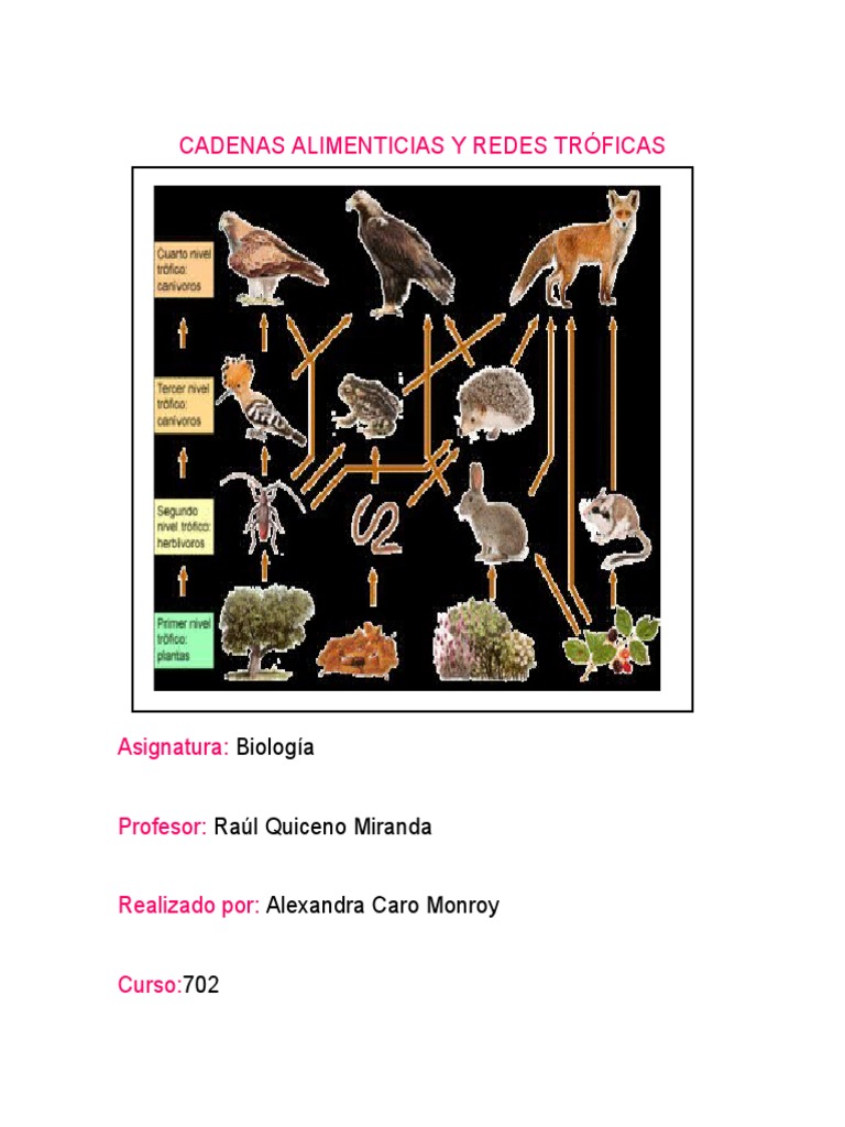 Cadenas Alimenticias y Redes Trófica1 | PDF | Red alimentaria ...