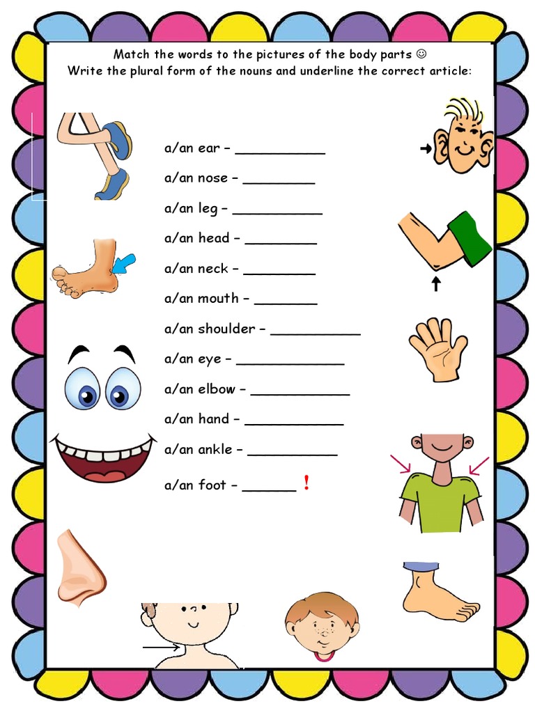 Plural Nouns. Body Parts | PDF