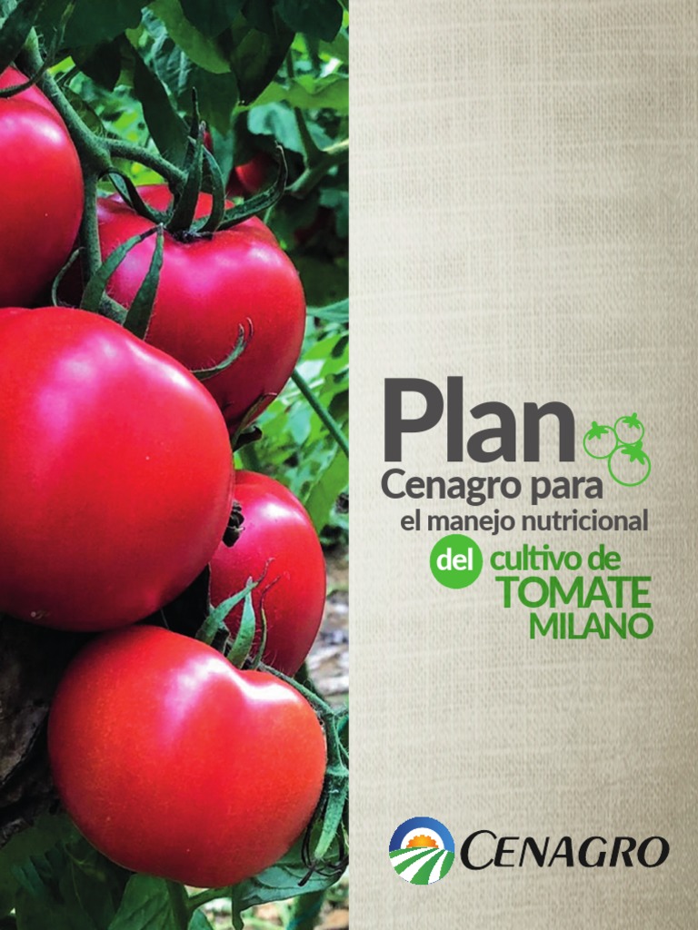Plan Nutricional para Tomate Milano | PDF | Organismos | Plantas