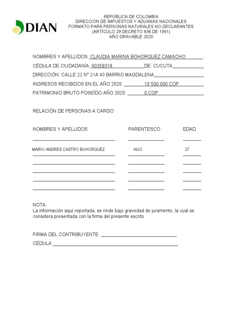 Formato DIAN 2019 | PDF