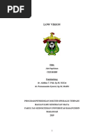 Definisi Low Vision Menurut ICD-10 | PDF
