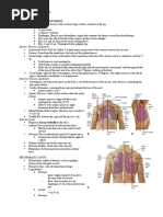 Chapman Points Table | PDF | Anatomical Terms Of Location | Neck