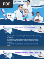 Técnica de Bass Modificada | PDF | Diente | Odontología
