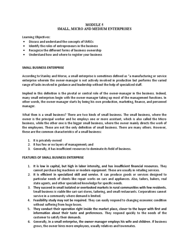 Small, Micro and Medium Enterprises | PDF | Sole Proprietorship ...