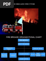 PDF Fire Brigade Organizational Structure | PDF | Emergency Evacuation ...