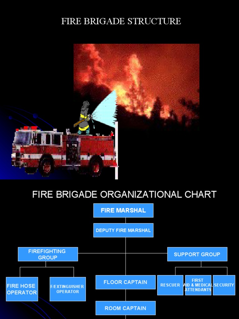 Fire Brigade Organization | PDF | Firefighter | Firefighting