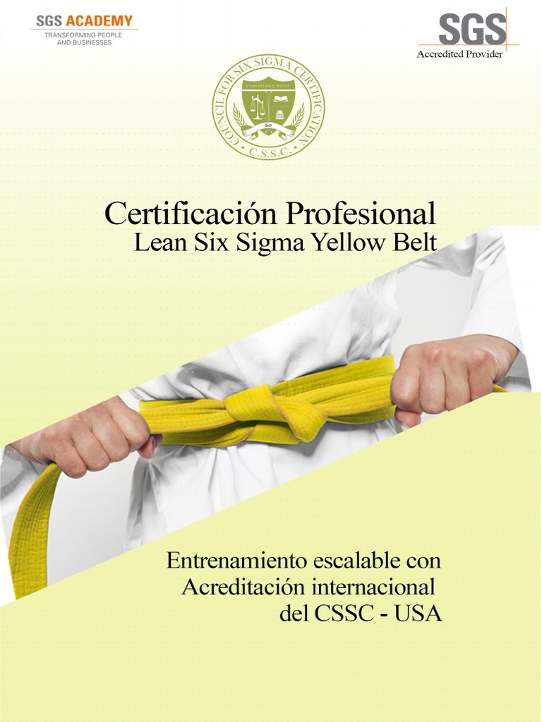Manual Entrenamiento LSS YB - CSSC | PDF | Six Sigma | Prueba (evaluación)