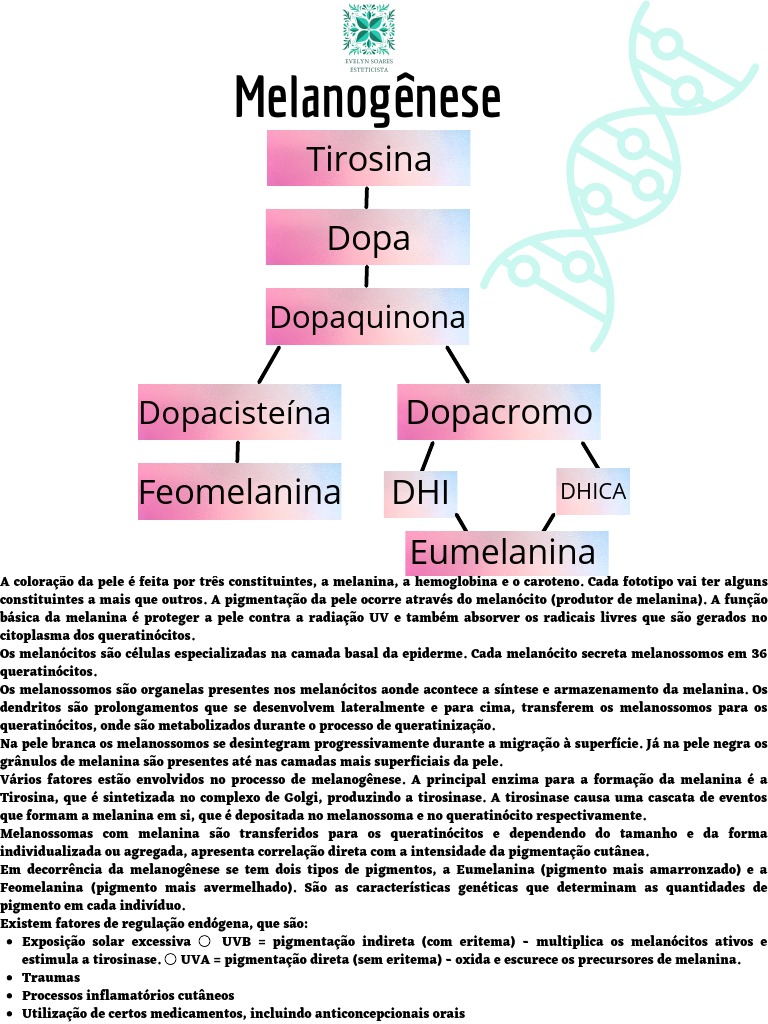 Melanogênese | PDF | Pele | Anatomia