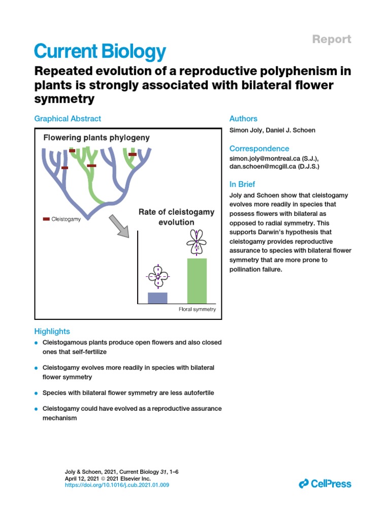 Daniel&Schoen | PDF | Flowers | Species