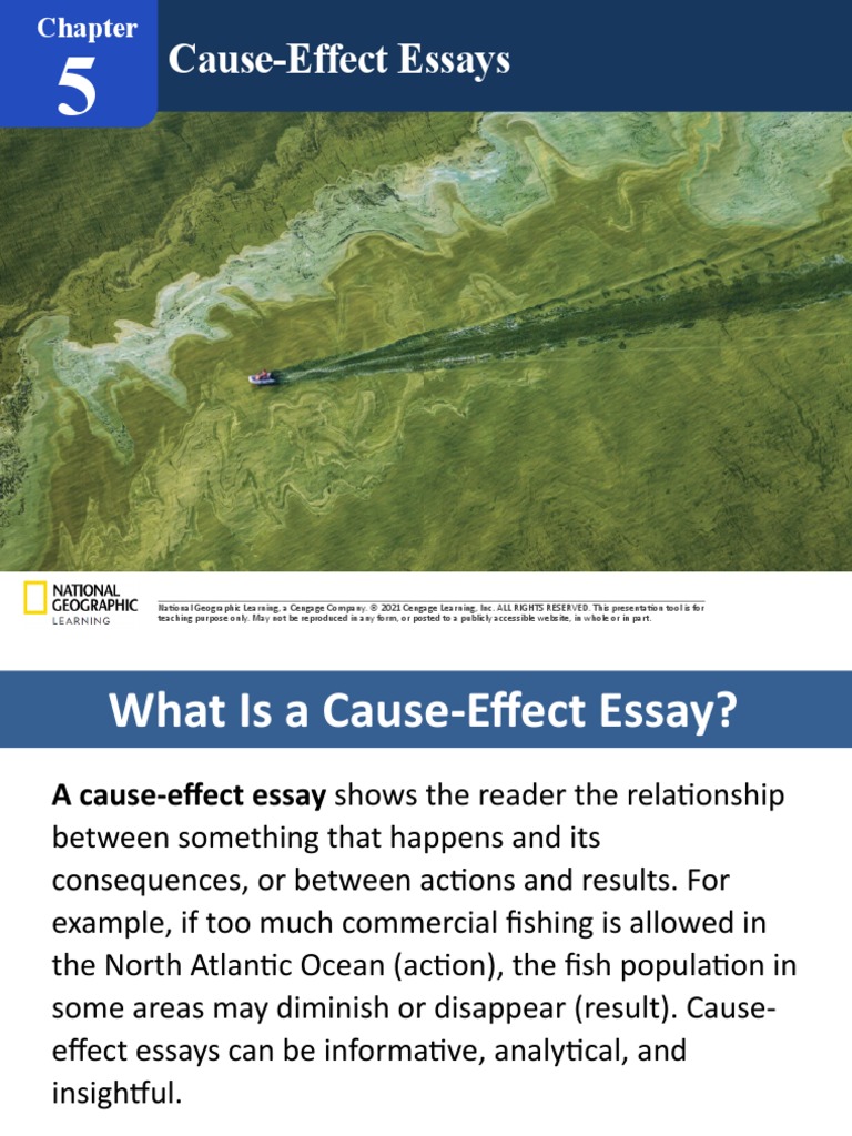 Cause and Effect Essay | PDF | Essays | Verb