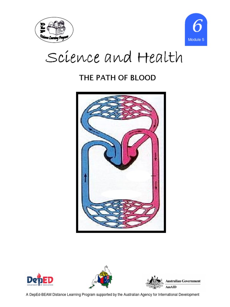 Science 6 DLP 5 The Path of Blood | PDF | Heart | Circulatory System