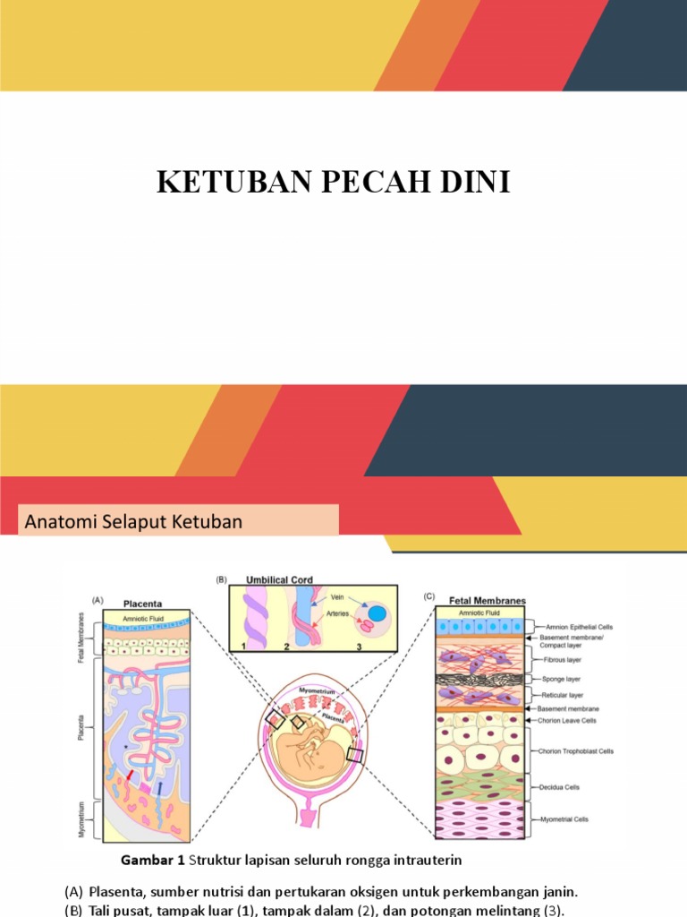 2021 KPD | PDF