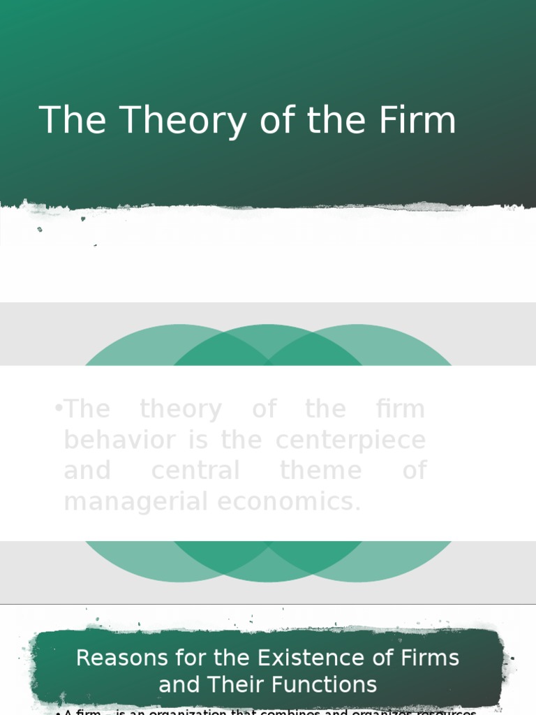 The Theory of The Firm | PDF | Profit (Economics) | Perfect Competition