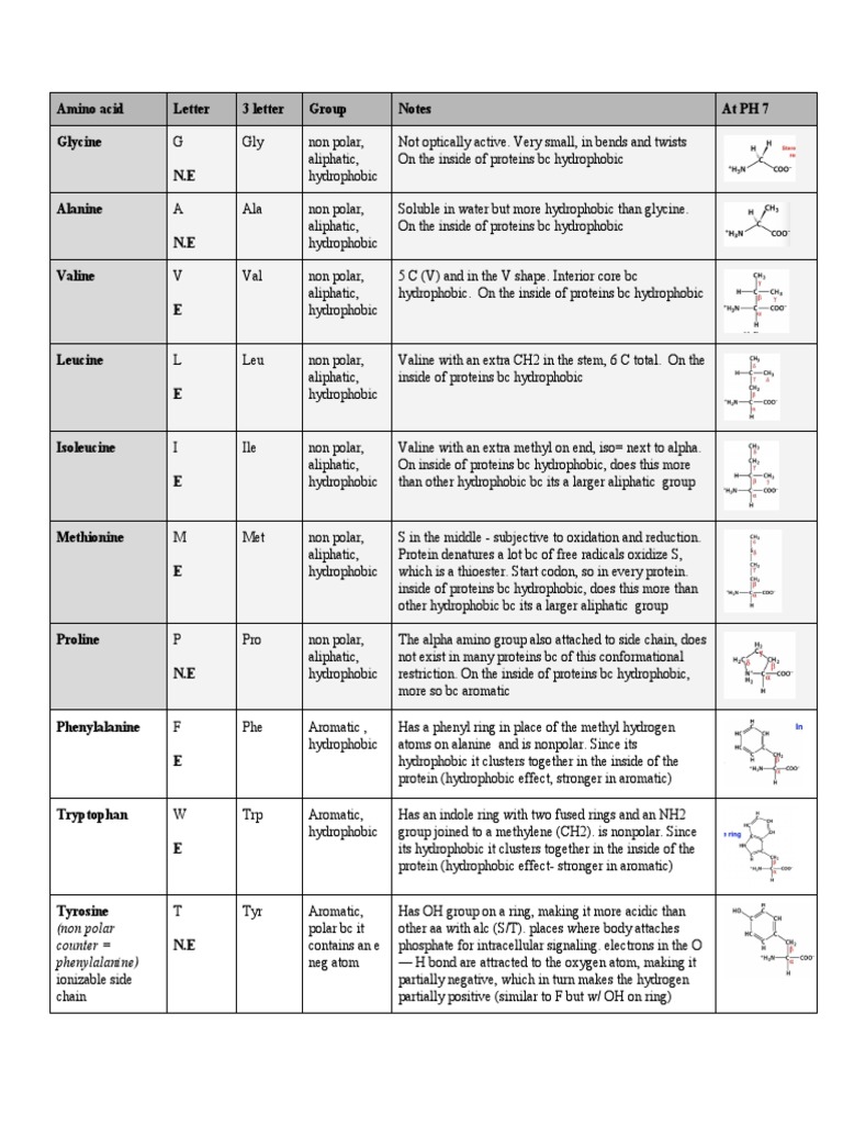 Amino Acid Letter 3 Letter Group Notes Atph7 Glycine N.E Alanine N.E ...