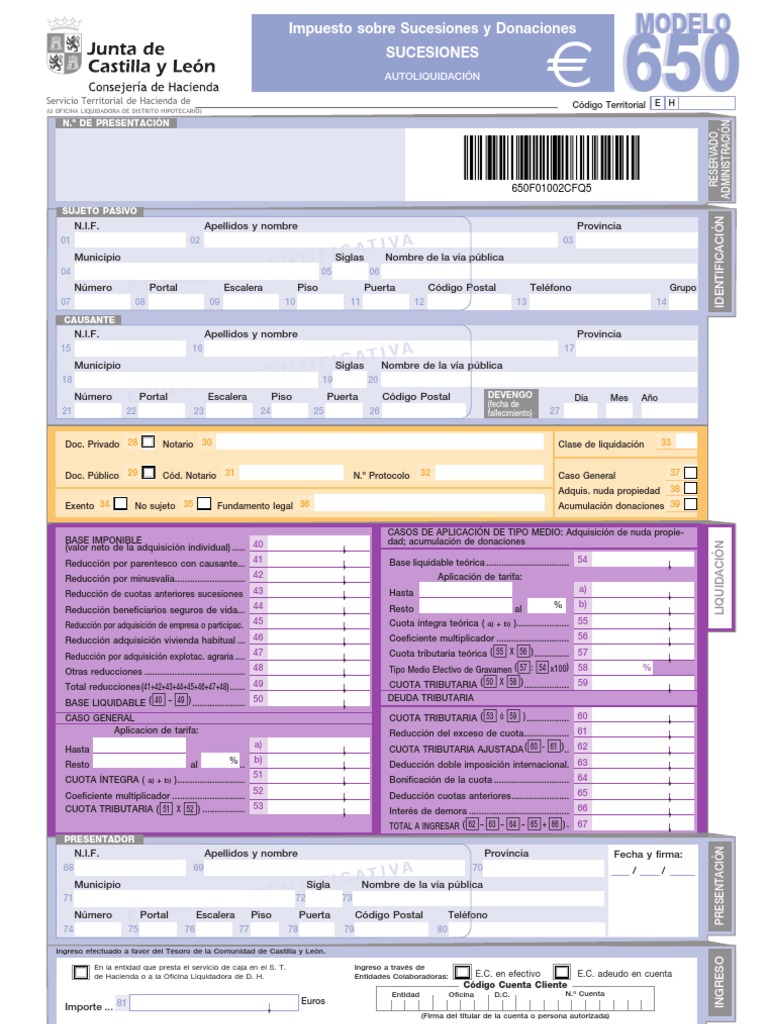 Modelo 650 Autoliquidacion | Business