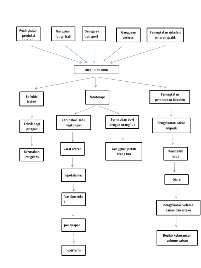 Pathway Hiperbilirubin | PDF