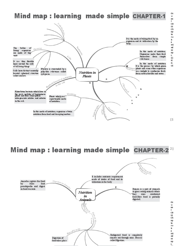 Concept Map - Class 7 - SCIENCE | PDF | Nutrition | Diet & Nutrition