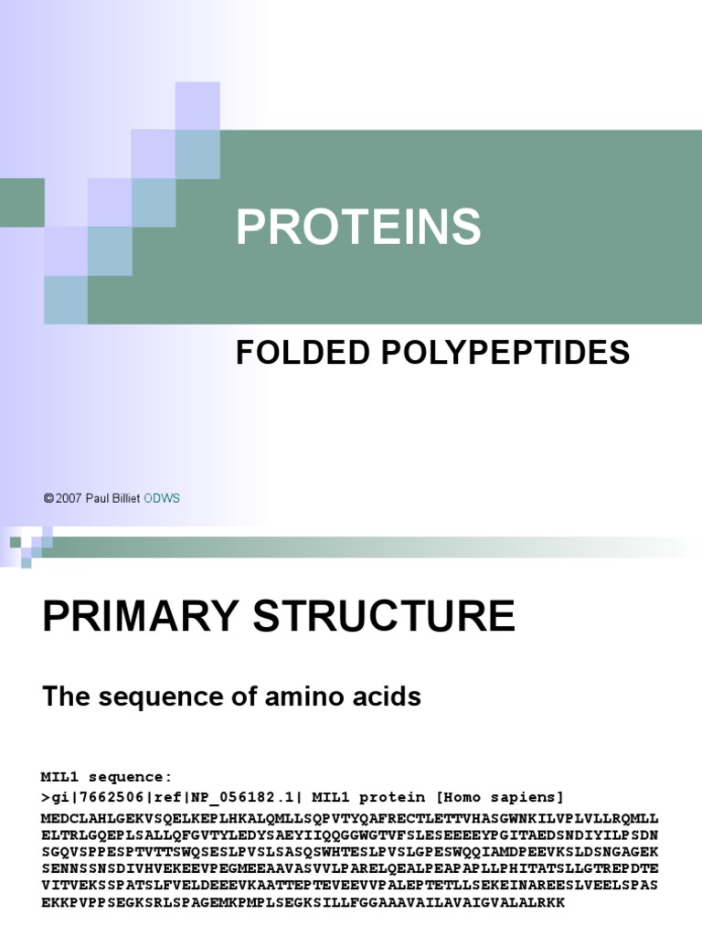 Proteins: Folded Polypeptides | PDF | Proteins | Protein Folding