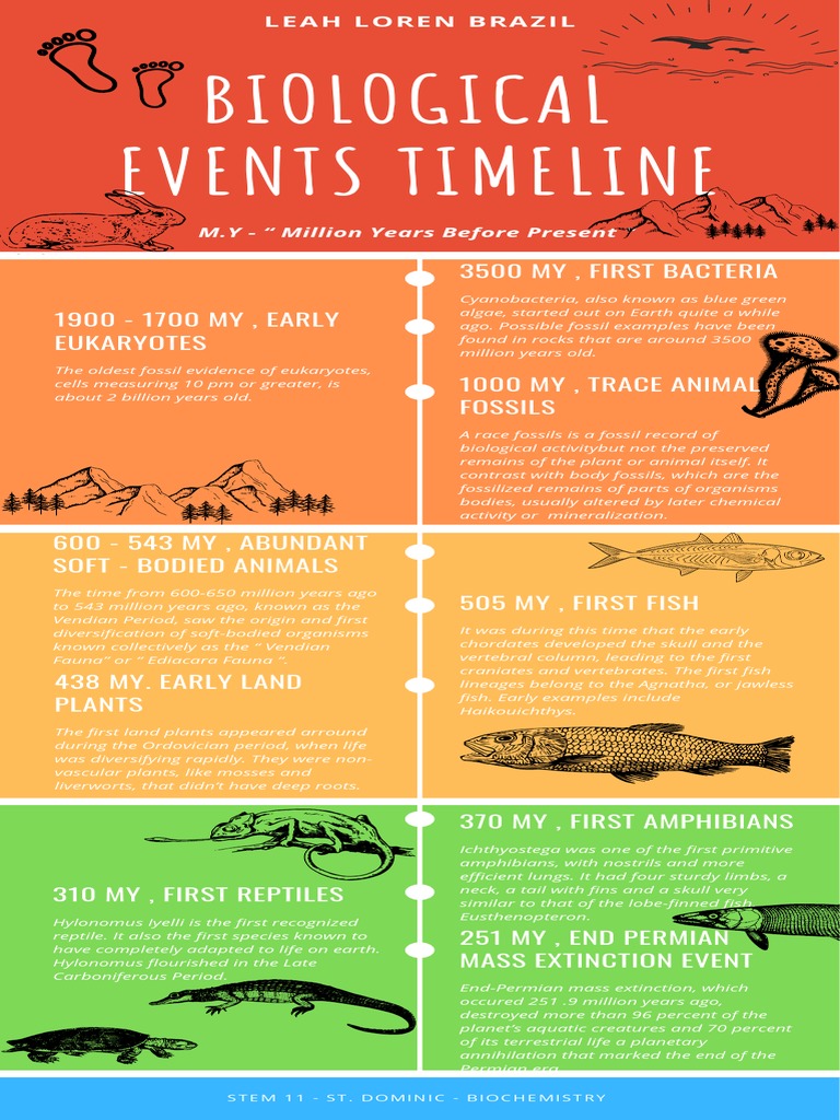 Biological Events Timeline: M.Y - " Million Years Before Present ...