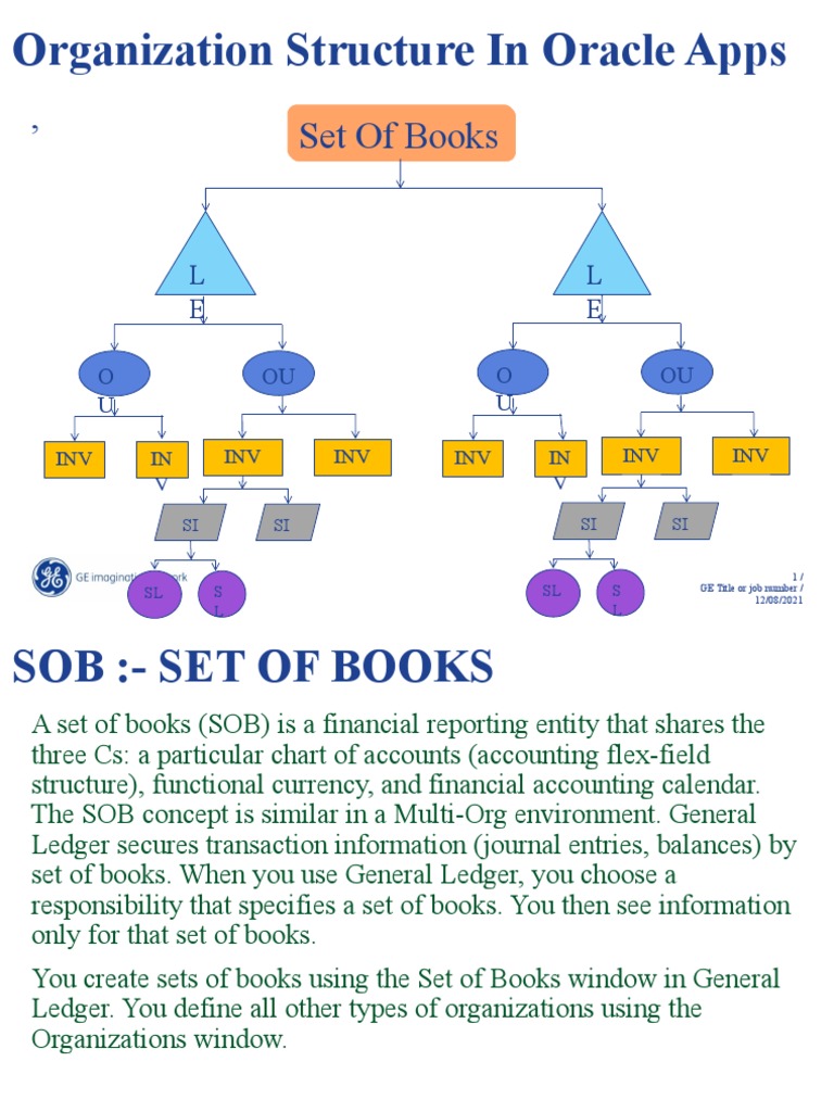 Oracle Apps Organization Structure | PDF | Inventory | Information