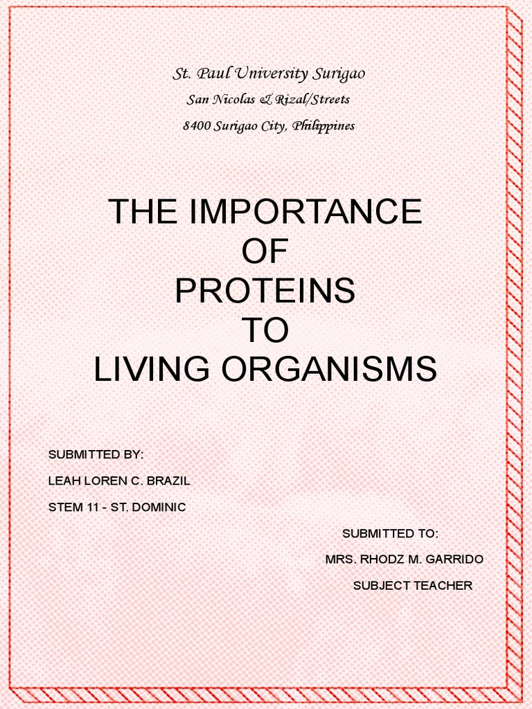 Protein Structure and Function Mind Map | PDF | Messenger Rna ...