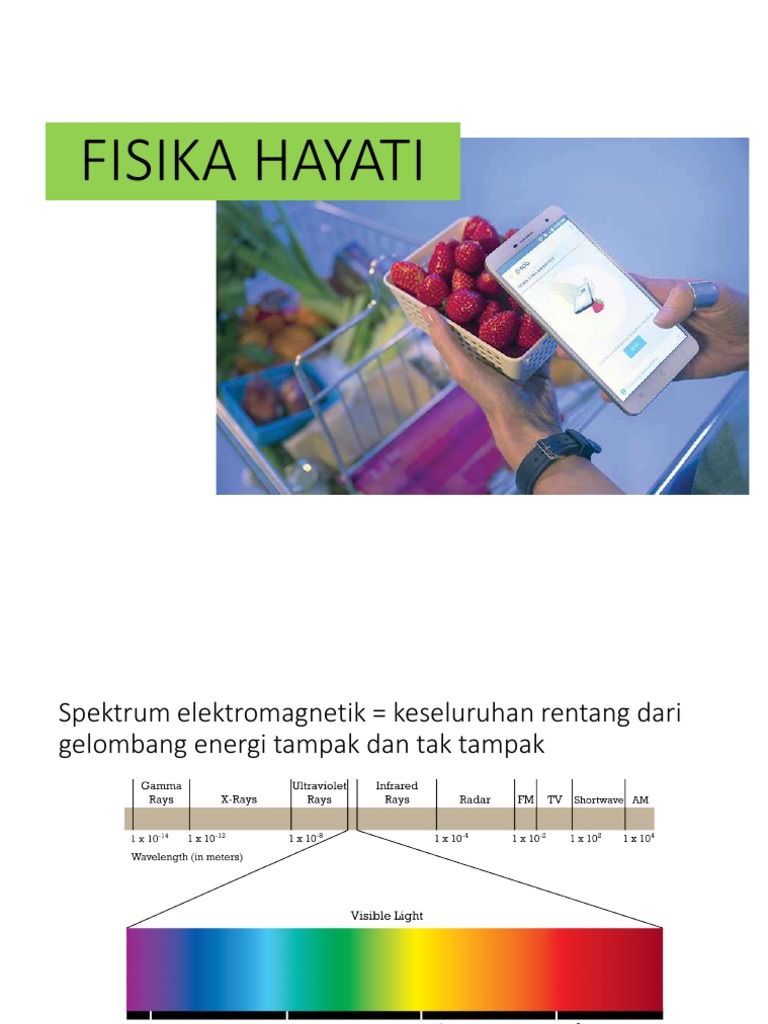 2 Color in Food | PDF | Chlorophyll | Color