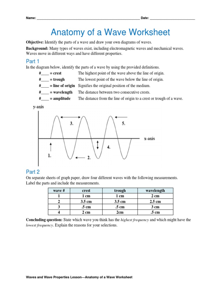 Anatomy of A Wave Worksheet | PDF