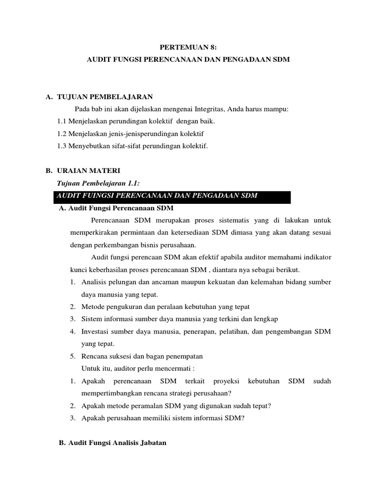 Pertemuan 8 Audit Fungsi Perencanaan Dan Pengadaan SDM | PDF | Karier & Perkembangan | Bisnis