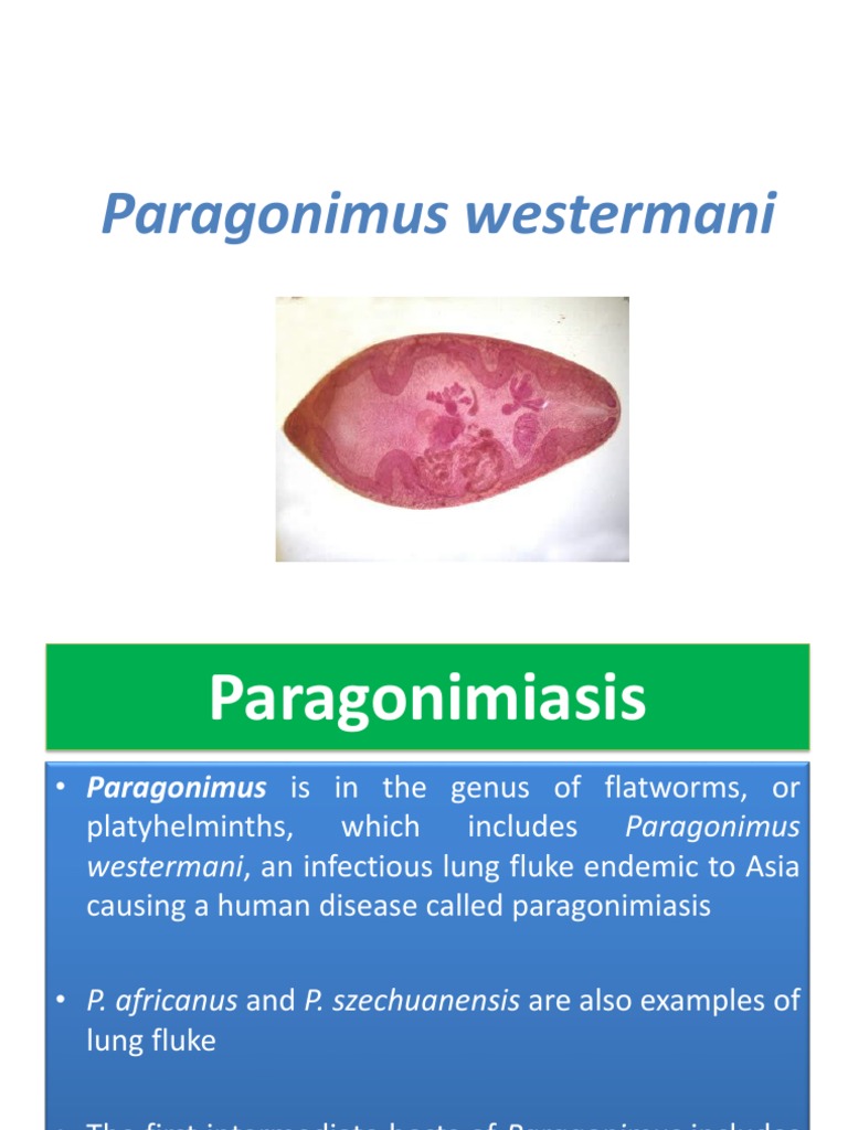 An In-Depth Look at Paragonimus westermani, the Causative Agent of ...