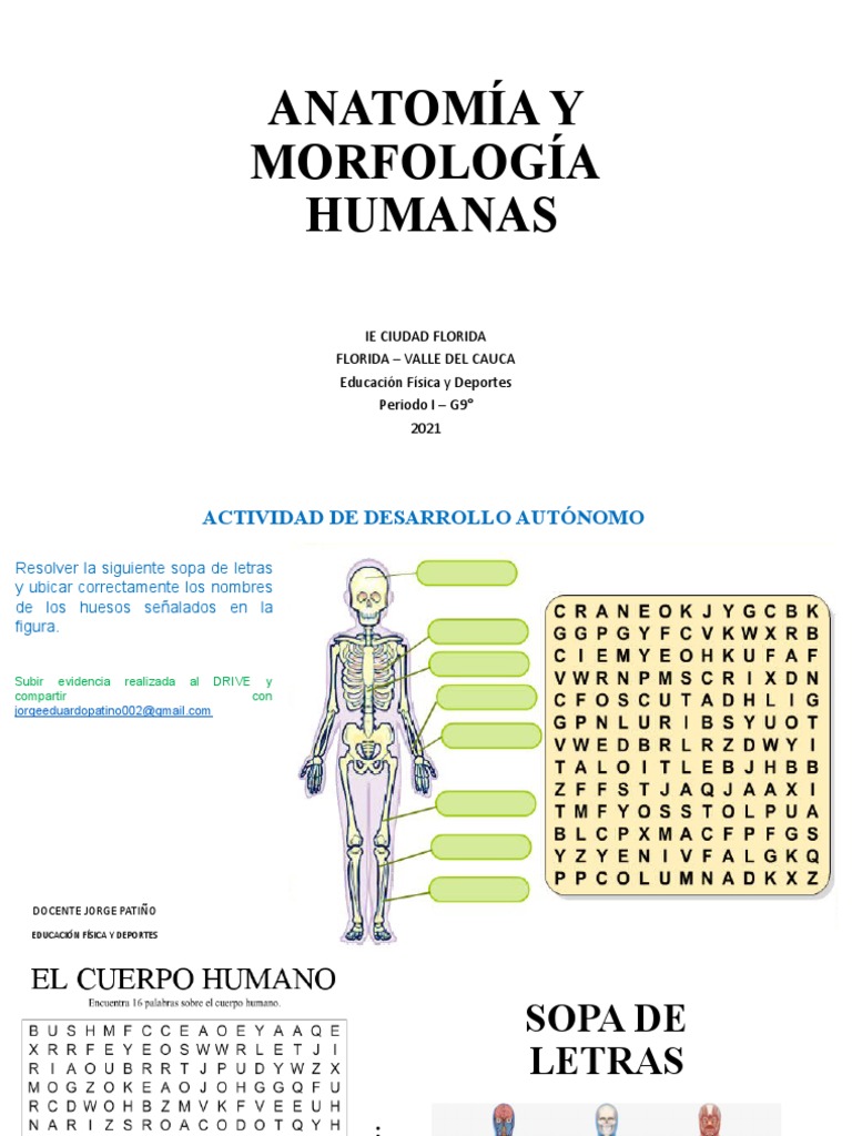 Taller Sopa de Letras Anatomía y Morfología - G9° - Pi - 2021 | PDF