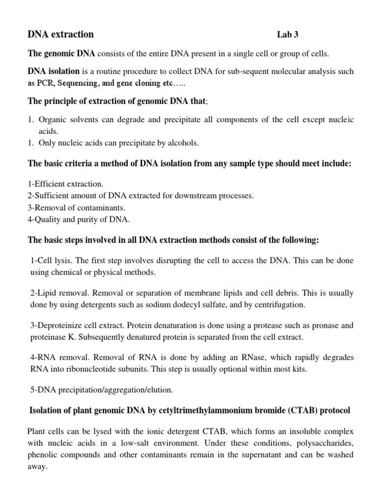 Lab 3 DNA Extraction | PDF | Lysis | Dna