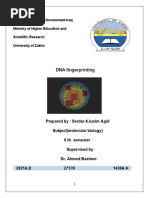 STRBase: DNA Database for Forensics | PDF | Microsatellite | Dna Profiling