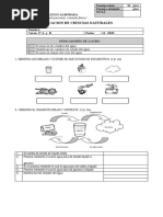 Prueba de Lectura El Rescatador de Árboles. | PDF
