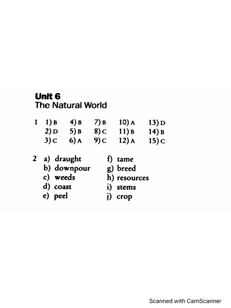 Key Unit 6 The Natural World | PDF