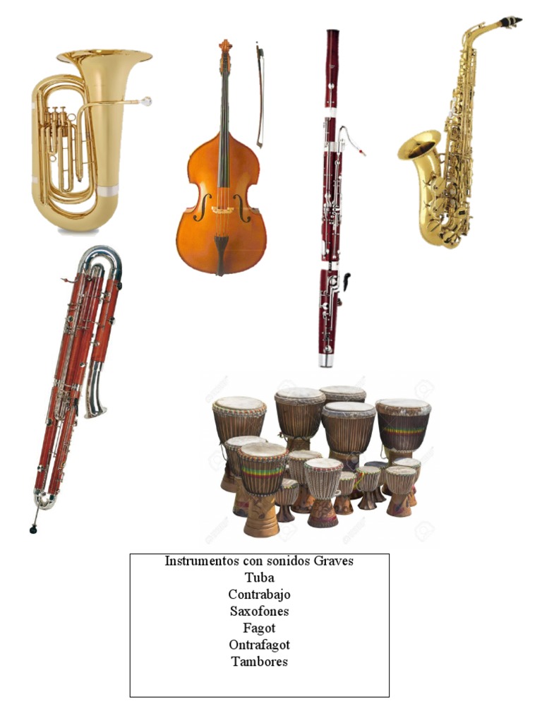 Instrumentos Agudos y Graves | PDF
